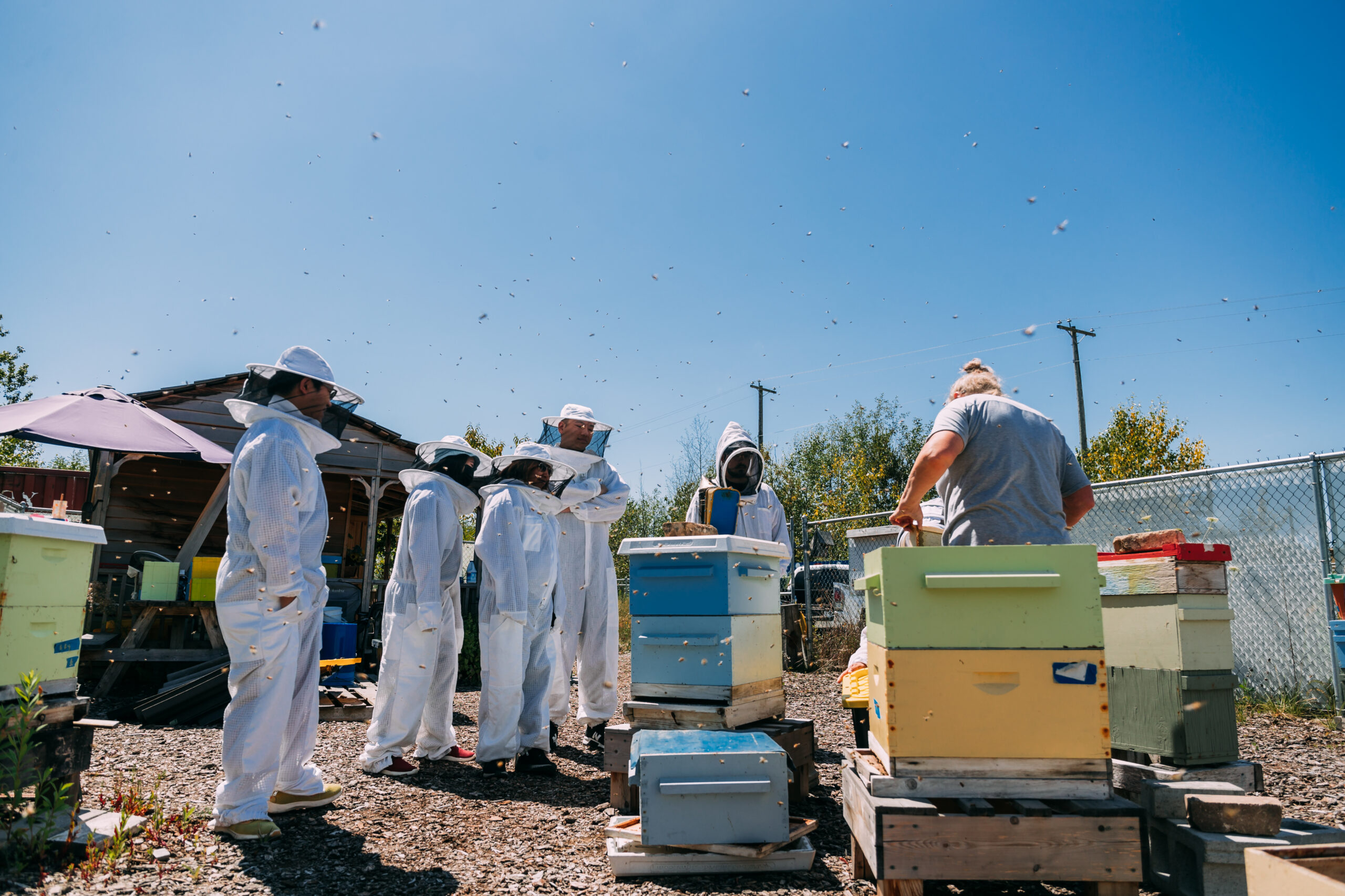 River District Apiary - Wesgroup Properties